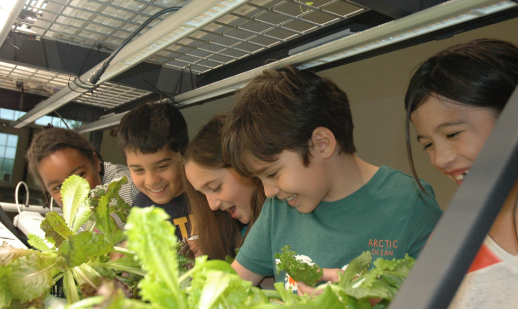 Vertical Hydroponic Farming Takes Elementary School To New Heights ...